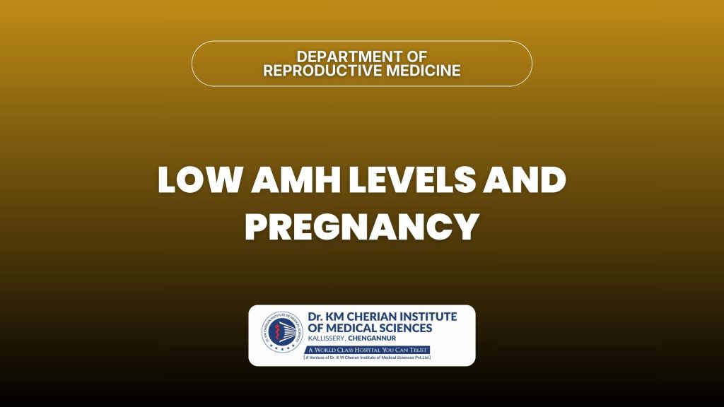 Low AMH Levels and Pregnancy: What You Need to Know
