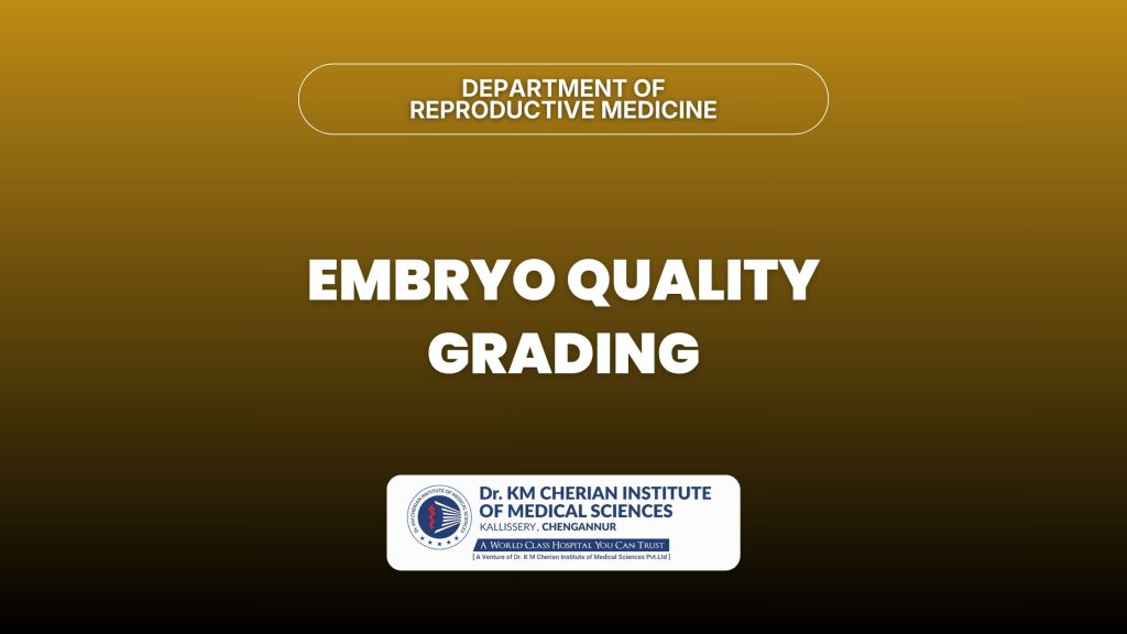 Embryo Quality Grading: How Fertilized Embryos are Assessed for IVF